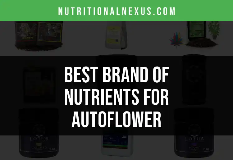 15 Top Autoflower Nutrients Brands for Optimal Growth