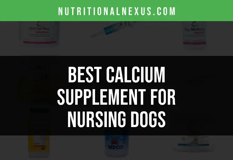 17 Best Calcium Supplements for Nursing Dogs