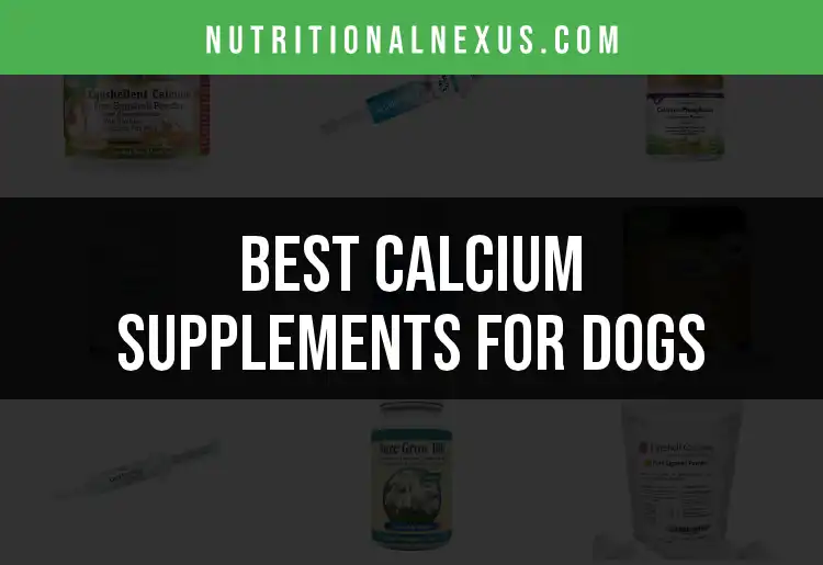 16 Best Calcium Supplements for Dogs You Can Trust