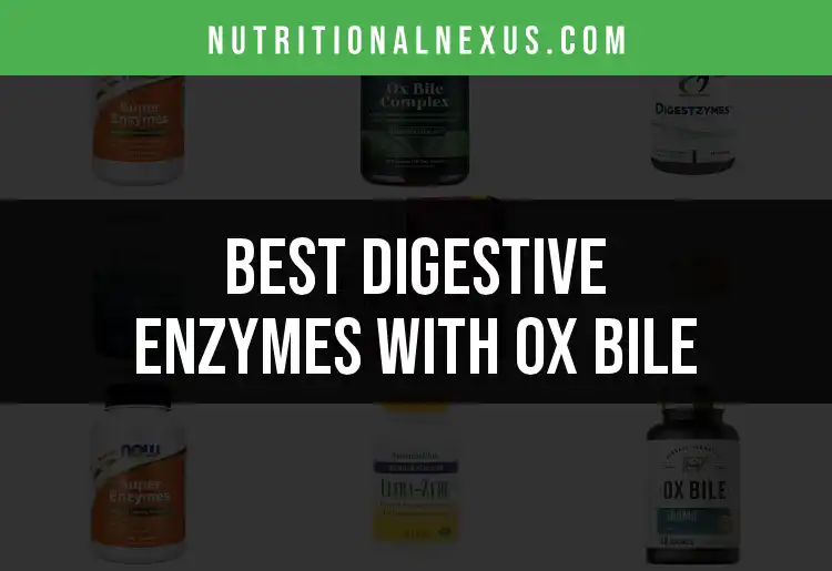 14 Best Digestive Enzymes with Ox Bile for Better Digestion