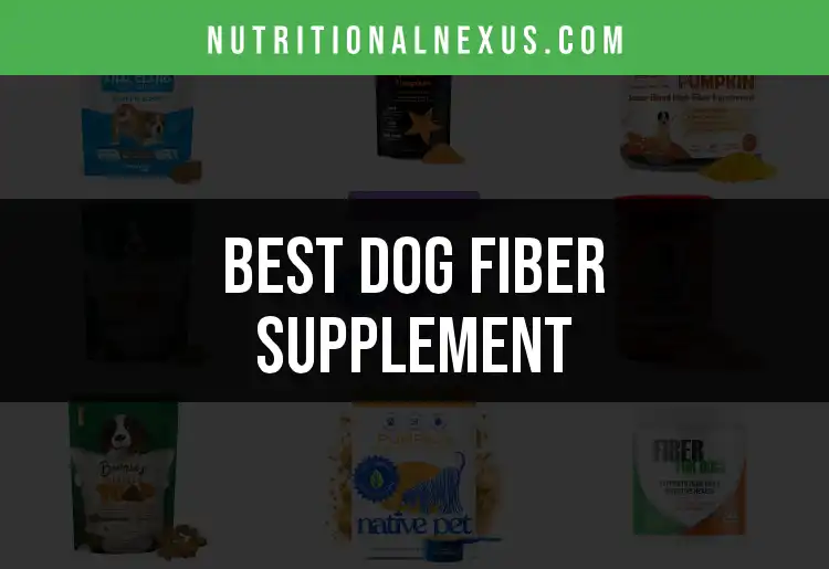 16 Top Dog Fiber Supplements for Healthy Digestion