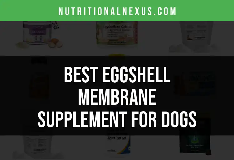 12 Eggshell Membrane Supplements for Dogs You Can Trust