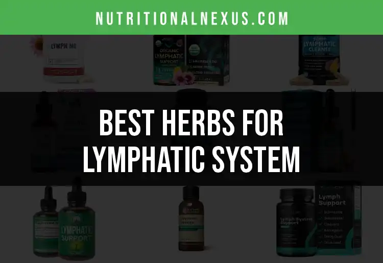 17 Herbs for Lymphatic System Wellness