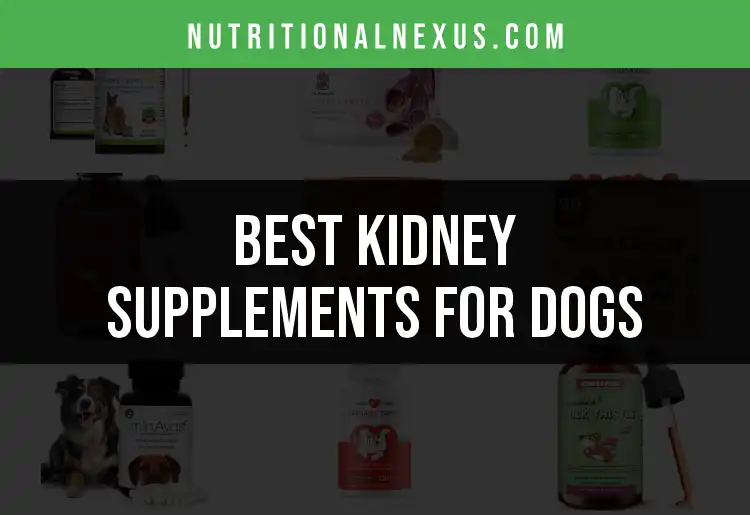 14 Kidney Supplements for Dogs You Can Trust