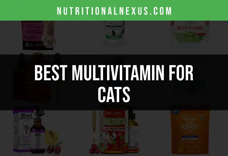 15 Best Multivitamin for Cats to Keep Them Healthy
