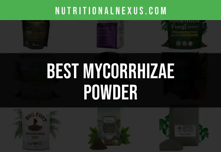12 Best Mycorrhizae Powder for Thriving Plants