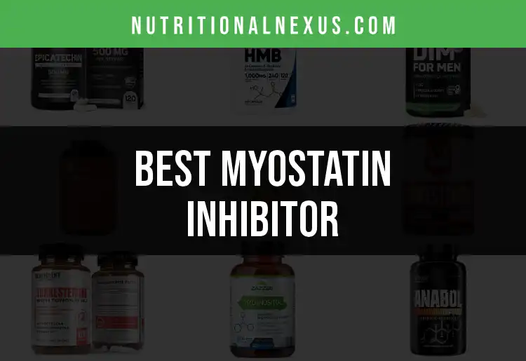 17 Top Myostatin Inhibitors for Rapid Muscle Growth