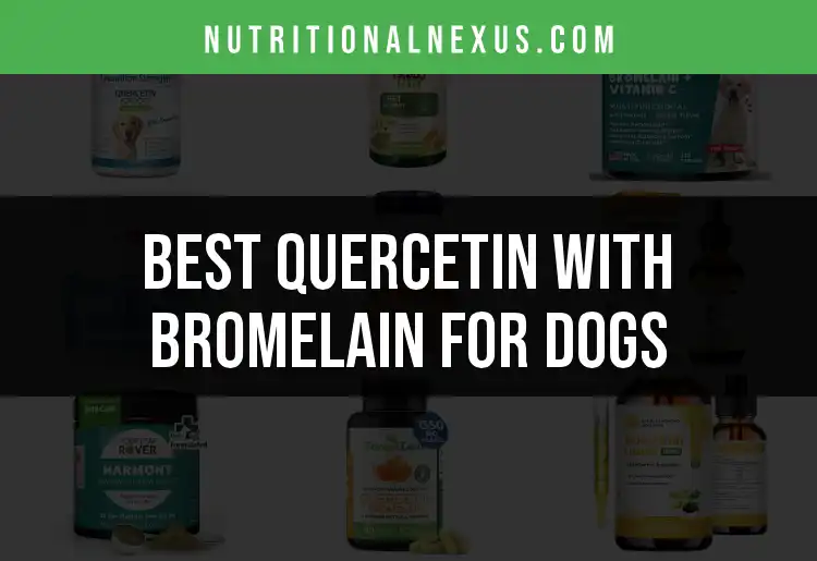 12 Top Quercetin With Bromelain Supplements for Dogs