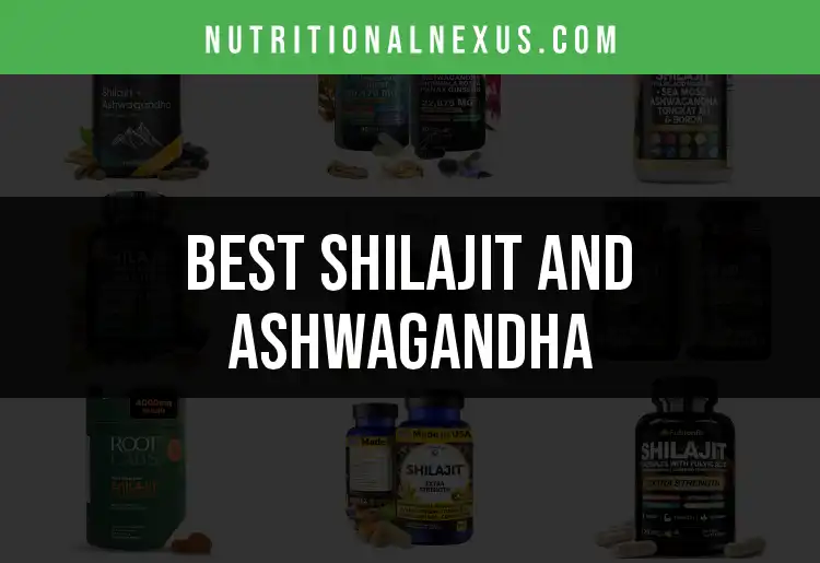 13 Best Shilajit and Ashwagandha Supplements Reviewed