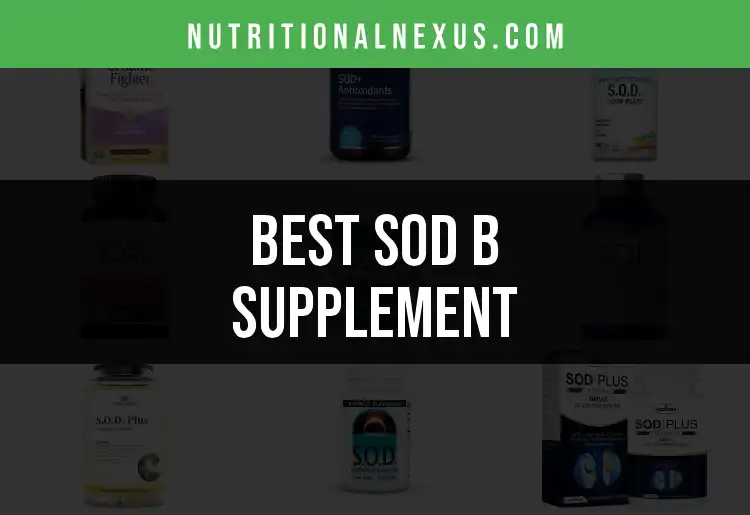 14 Best SOD B Supplements for Rapid Oxidative Defense