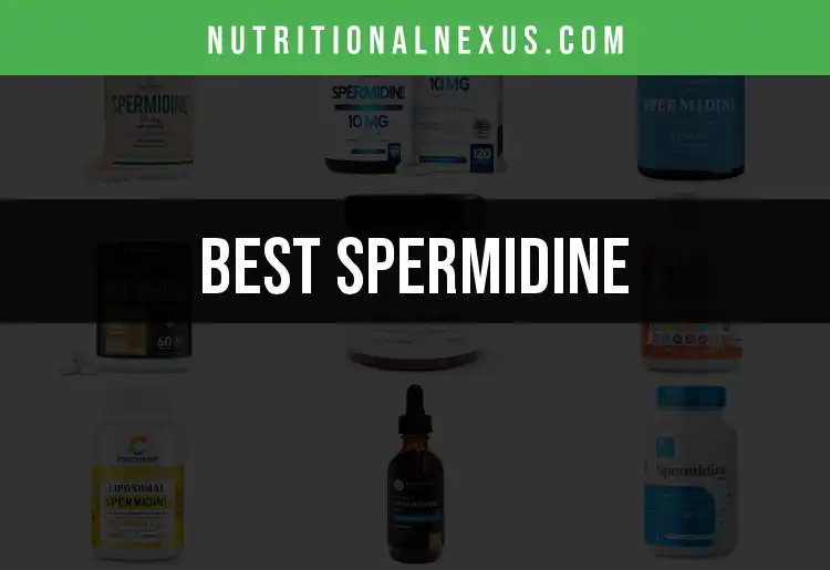 12 Spermidine Supplements for Optimal Results
