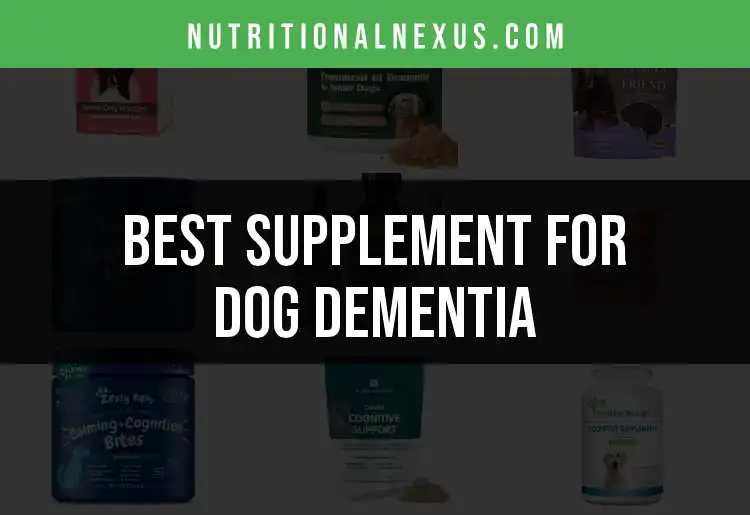 15 Top Supplements for Dog Dementia You Should Know