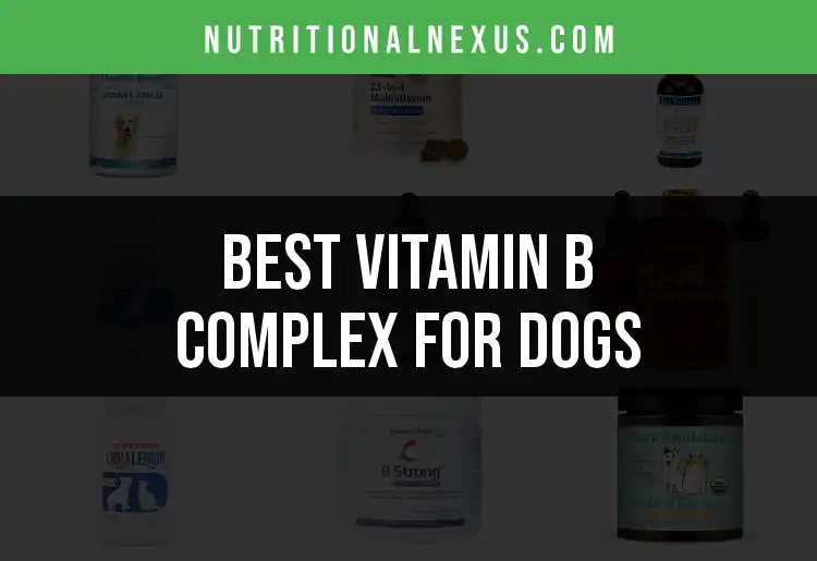 15 Best Vitamin B Complex for Dogs to Boost Vitality