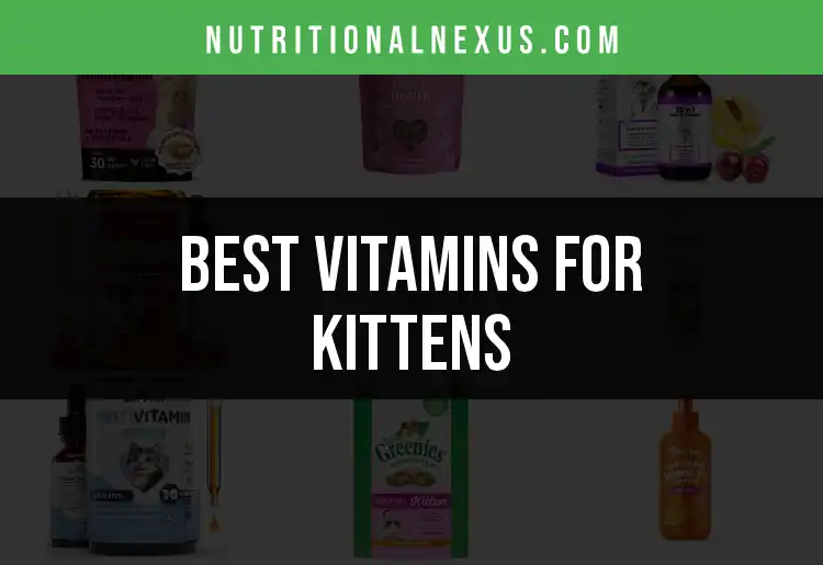 18 Vitamins for Kittens: The Ultimate Quick Guide